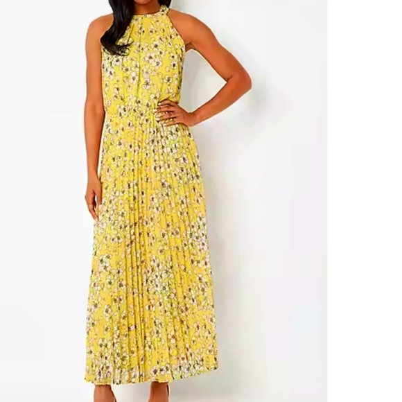 Studio One | Dresses | Bnwt Studio Sleeveless Floral Maxi Dress In Pink ...